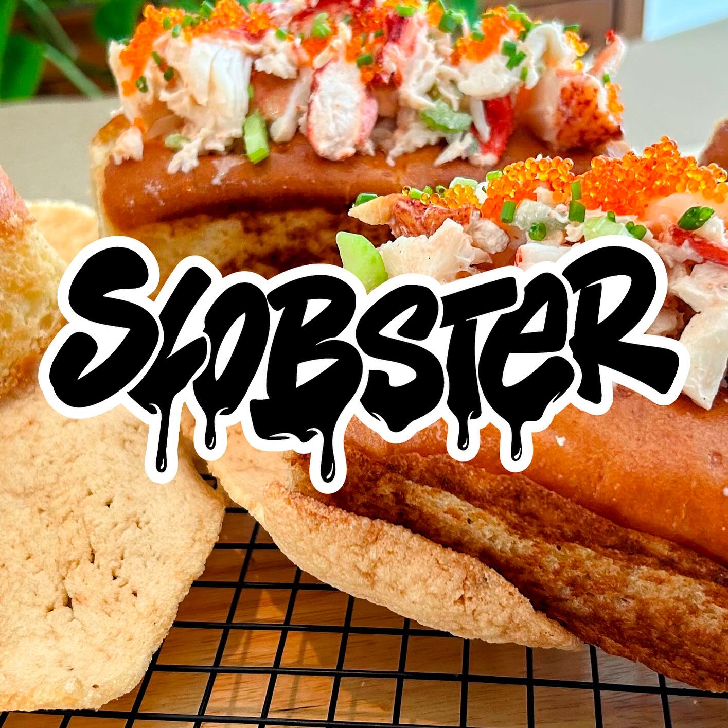 Slobster – IT’S OK TO BE A SLOB!